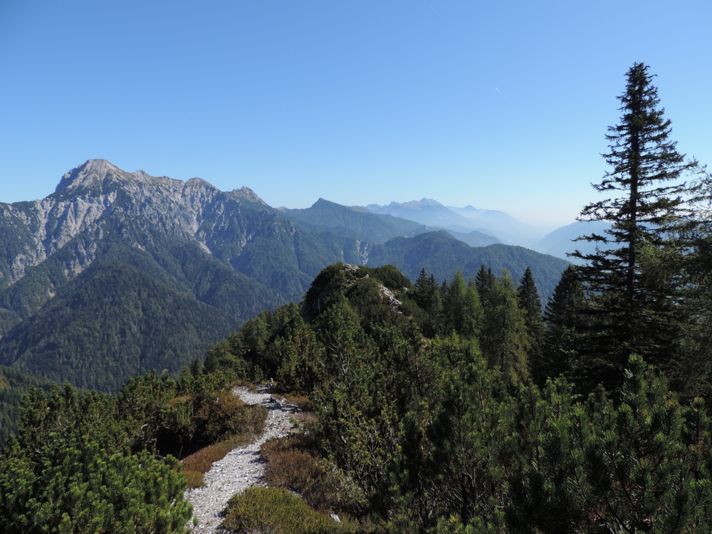 Visoki Kurji vrh | razpis ture : Planinsko društvo Domžale